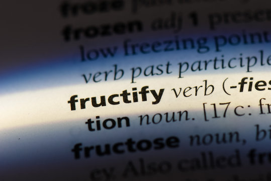 「Fructify」の写真素材 | 583件の無料イラスト画像 | Adobe Stock