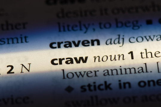 Craw bilder – Bläddra bland 4,523 stockfoton, vektorer och videor ...