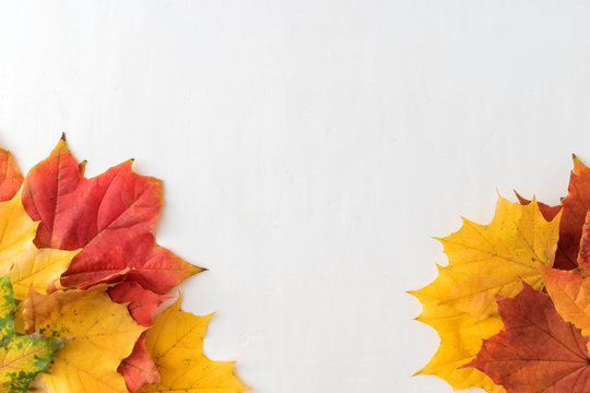 "Autumn Background" bilder – Bläddra bland 67,140 stockfoton, vektorer ...