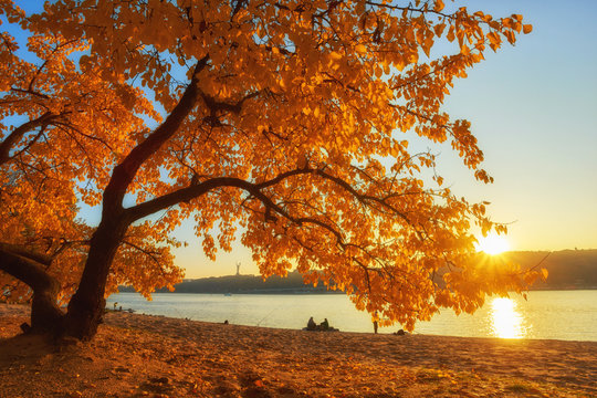 Autumn At The Beach Images – Browse 338,284 Stock Photos, Vectors, and ...