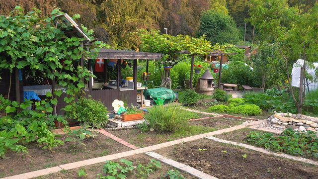 Schrebergarten Billeder – Gennemse 613,897 stockfotos, vektorer og ...