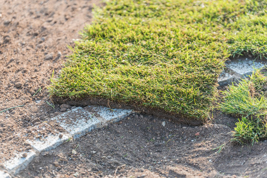 「Grasnarbe」の画像 - 393 件の Stock 写真、ベクターおよびビデオ | Adobe Stock