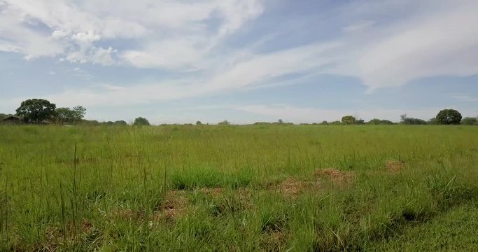 Grassline Video Footage – Browse 5 HD Stock Video and Footage | Adobe Stock