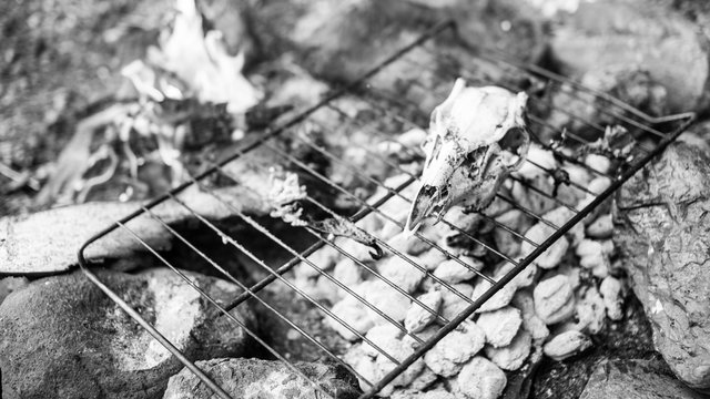 รูปภาพWass – เลือกดูภาพถ่ายสต็อก เวกเตอร์ และวิดีโอ273 | Adobe Stock