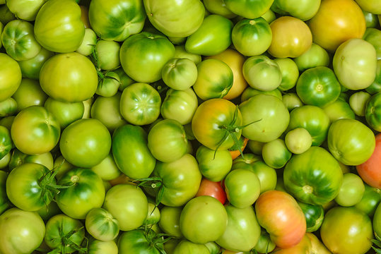 Imágenes de Solanina: descubre bancos de fotos, ilustraciones, vectores ...