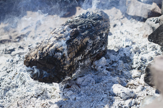 รูปภาพAshy – เลือกดูภาพถ่ายสต็อก เวกเตอร์ และวิดีโอ2,878 | Adobe Stock