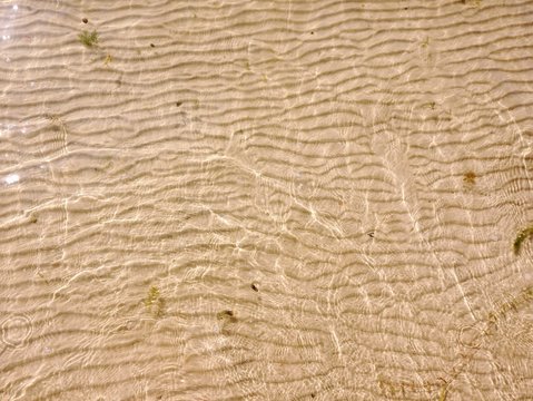 River Bottom Texture