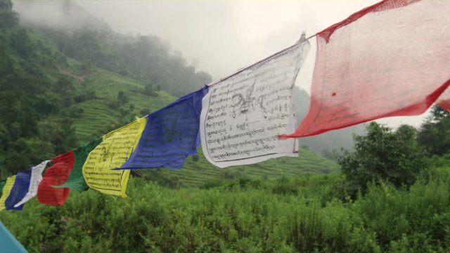 Flaglet Bilder – Durchsuchen 331 Archivfotos, Vektorgrafiken und Videos ...