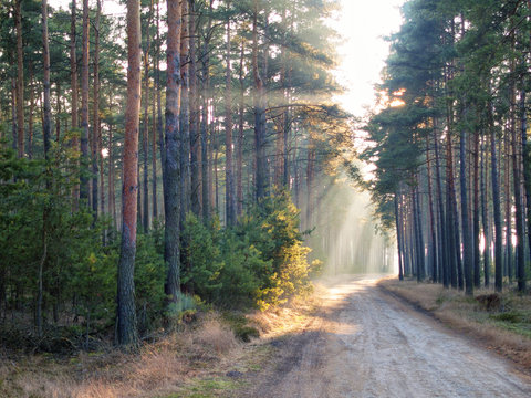 รูปภาพSandweg – เลือกดูภาพถ่ายสต็อก เวกเตอร์ และวิดีโอ1,099 | Adobe Stock