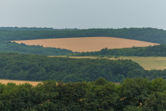 "Forest Belts" Images – Browse 56 Stock Photos, Vectors, and Video ...