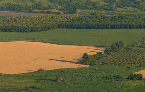 "Forest Belts" Images – Browse 56 Stock Photos, Vectors, and Video ...