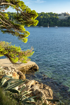 Cavat Images – Browse 50 Stock Photos, Vectors, and Video | Adobe Stock