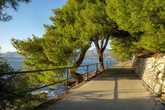 Cavat Images – Browse 50 Stock Photos, Vectors, and Video | Adobe Stock