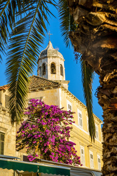 Cavat Images – Browse 50 Stock Photos, Vectors, and Video | Adobe Stock