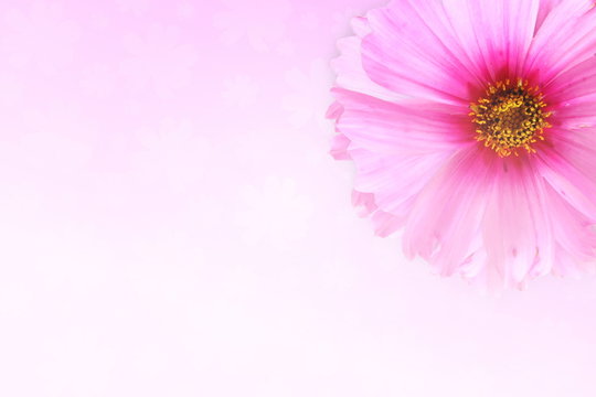 Ftexture Imagens – Procure 25 fotos, vetores e vídeos | Adobe Stock