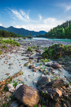 Ascat Images – Browse 63 Stock Photos, Vectors, and Video | Adobe Stock