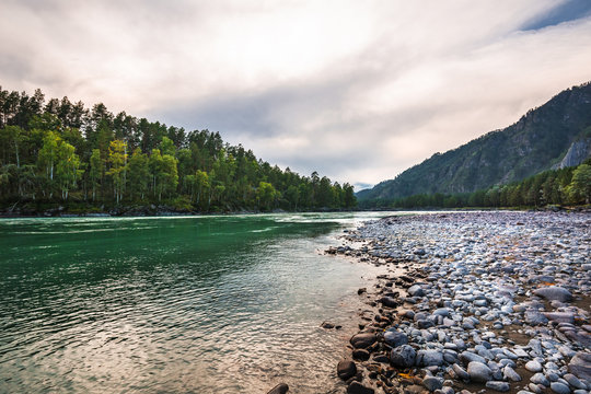 Ascat Images – Browse 63 Stock Photos, Vectors, and Video | Adobe Stock