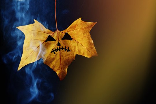 415 BEST "Spooky Background" IMAGES, STOCK PHOTOS & VECTORS | Adobe Stock