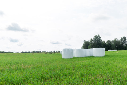 "Hay Making" Images – Browse 1,958 Stock Photos, Vectors, and Video ...