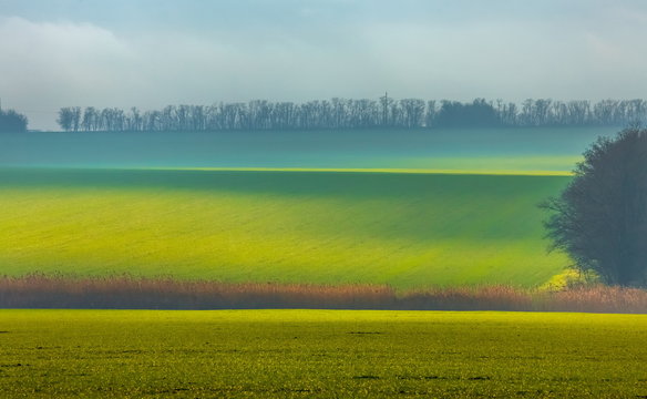 "Forest Belts" Images – Browse 56 Stock Photos, Vectors, and Video ...