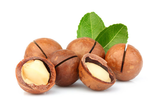 Cernel Images – Browse 43 Stock Photos, Vectors, and Video | Adobe Stock