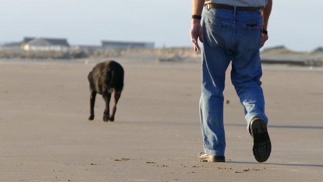 Estray Bilder – Durchsuchen 403 Archivfotos, Vektorgrafiken und Videos ...