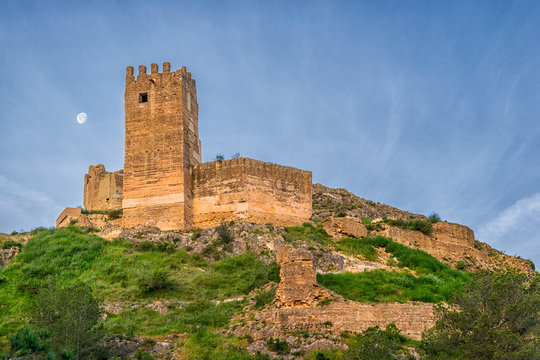 Obrázky Pliego – procházejte fotografie, vektory a videa 117 | Adobe Stock