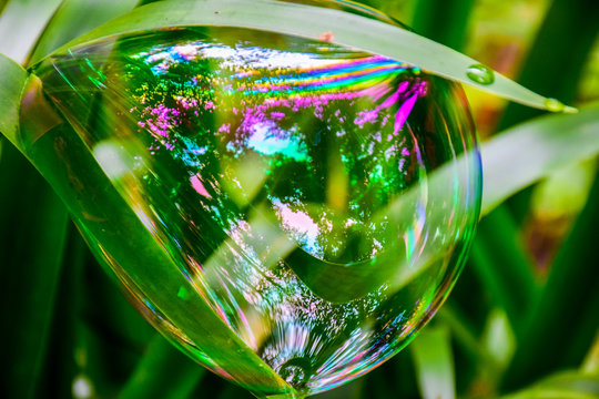 รูปภาพPingo – เลือกดูภาพถ่ายสต็อก เวกเตอร์ และวิดีโอ1,128 | Adobe Stock