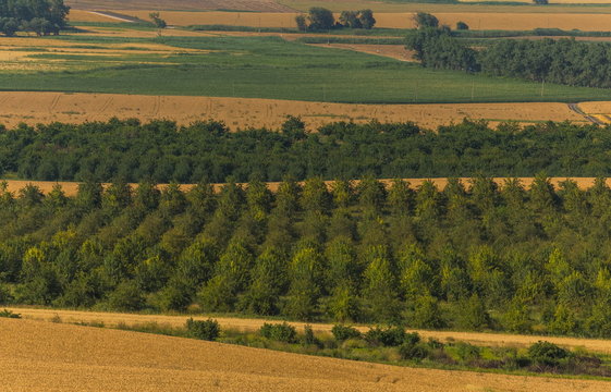 "Forest Belts" Images – Browse 56 Stock Photos, Vectors, and Video ...