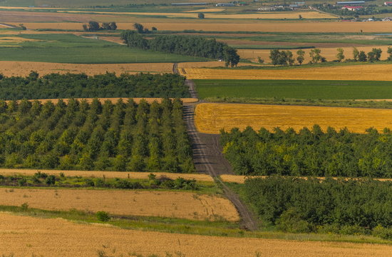 "Forest Belts" Images – Browse 56 Stock Photos, Vectors, and Video ...