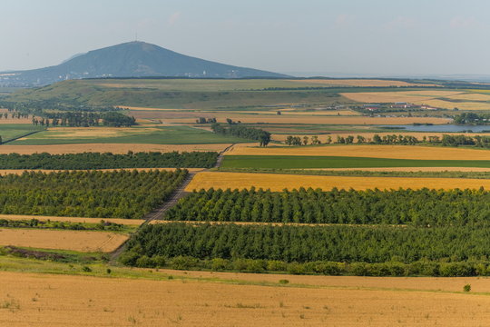 "Forest Belts" Images – Browse 56 Stock Photos, Vectors, and Video ...