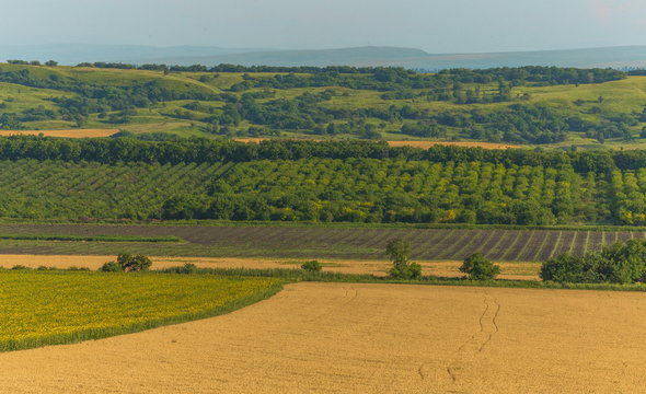 "Forest Belts" Images – Browse 56 Stock Photos, Vectors, and Video ...