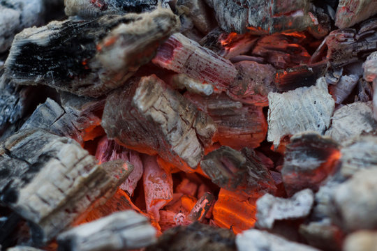 Vehemently Images – Browse 259 Stock Photos, Vectors, and Video | Adobe ...