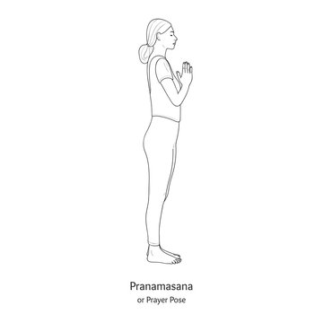 Pranamasana Images – Browse 247 Stock Photos, Vectors, and Video ...