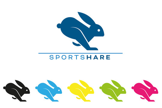 Fast Rabbit Icon