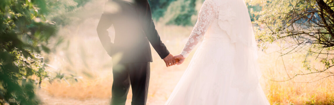 Free Wedding Images – Browse 19,605 Free Stock Photos, Vectors, and ...
