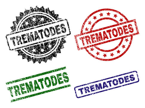 รูปภาพTrematodes – เลือกดูภาพถ่ายสต็อก เวกเตอร์ และวิดีโอ501 | Adobe Stock