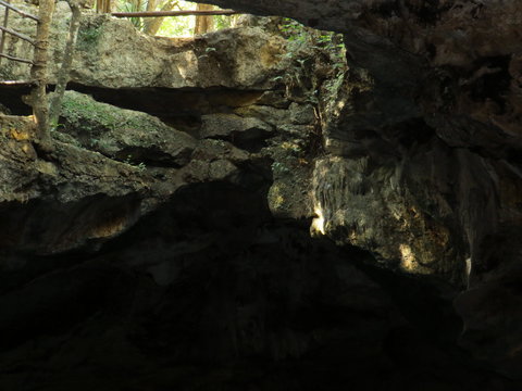 Grott Images – Browse 25 Stock Photos, Vectors, and Video | Adobe Stock