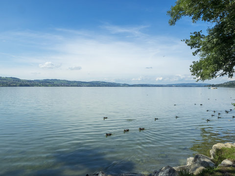 Sempachersee Bilder – Durchsuchen 258 Archivfotos, Vektorgrafiken und ...