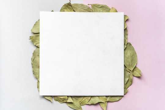 Nock Images – Browse 7,854 Stock Photos, Vectors, and Video | Adobe Stock