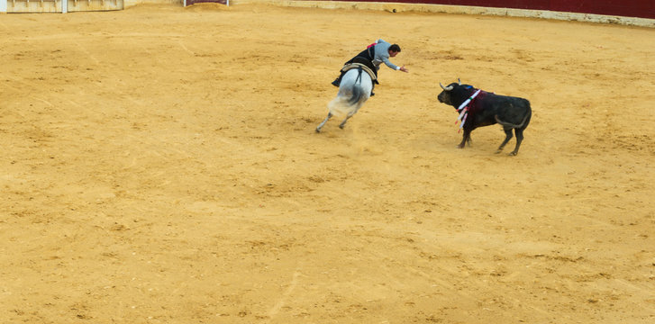 รูปภาพRejoneo – เลือกดูภาพถ่ายสต็อก เวกเตอร์ และวิดีโอ246 | Adobe Stock