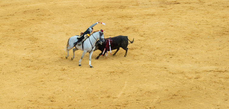 รูปภาพRejoneo – เลือกดูภาพถ่ายสต็อก เวกเตอร์ และวิดีโอ246 | Adobe Stock