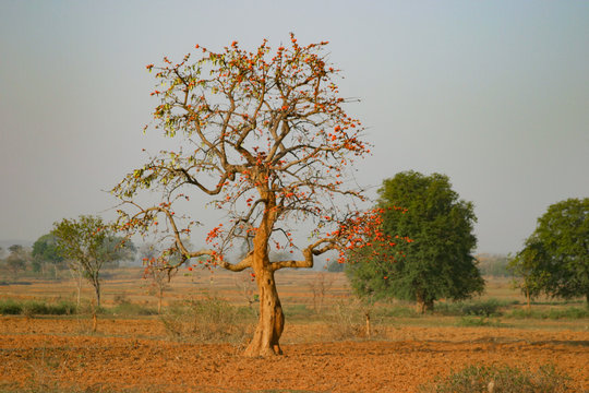 Fotolia Images – Parcourir 6,771 le catalogue de photos, vecteurs et ...