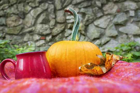 Rachel Lerch photos, images, assets | Adobe Stock