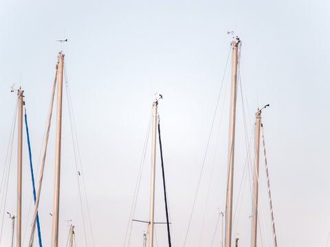 "Boat Mast" Images – Browse 147 Stock Photos, Vectors, and Video ...