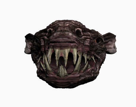 Geifer Images – Browse 8 Stock Photos, Vectors, and Video | Adobe Stock