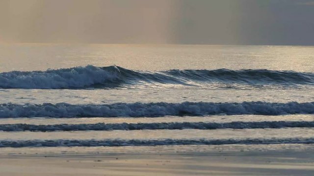 Estray Bilder – Durchsuchen 403 Archivfotos, Vektorgrafiken und Videos ...