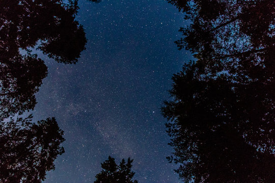 Obrázky "Droga Mleczna" – procházejte fotografie, vektory a videa 565 ...