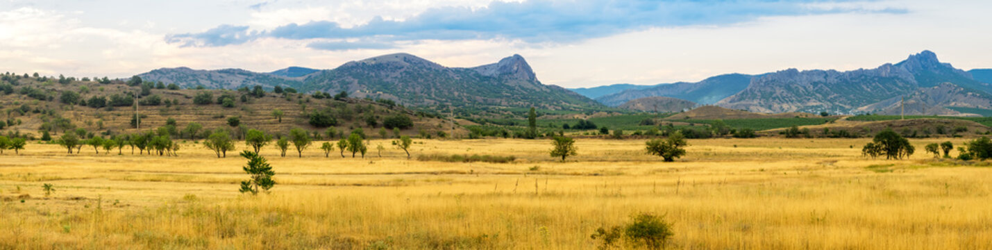 Savanne Bilder – Durchsuchen 298,041 Archivfotos, Vektorgrafiken und ...