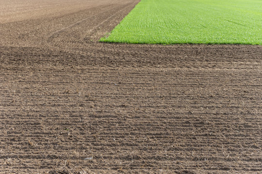 รูปภาพErdboden – เลือกดูภาพถ่ายสต็อก เวกเตอร์ และวิดีโอ46,066 | Adobe Stock